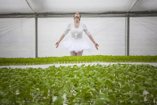 Il vivaio – Spazio Q